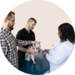 Veterinary Urgent Care For Pets | After-Hours Veterinarian