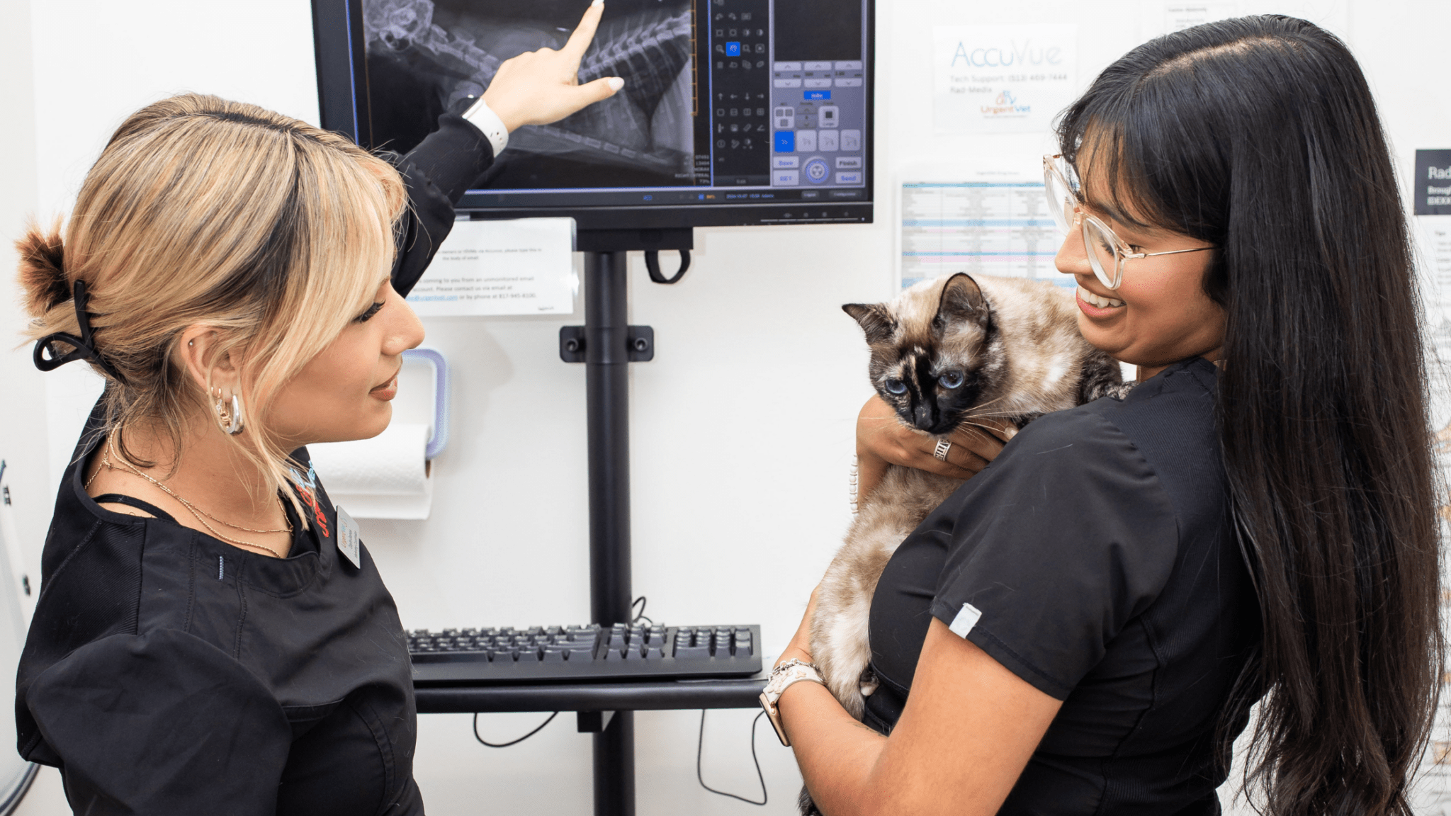 After-Hours Pet Care Option to Open in Boston with New Location in ...
